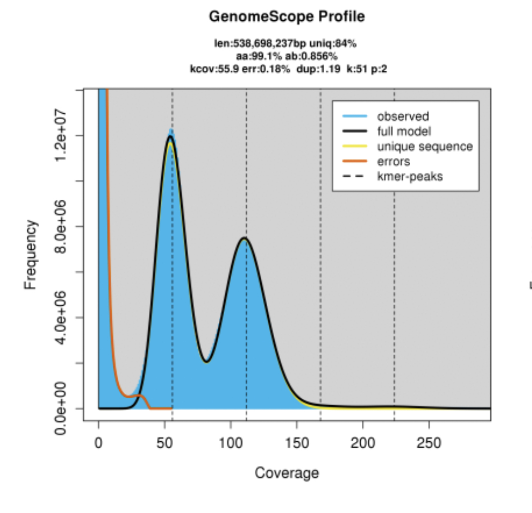 Smudgeplot for allotetraploidy · Issue #107 · KamilSJaron/smudgeplot · GitHub