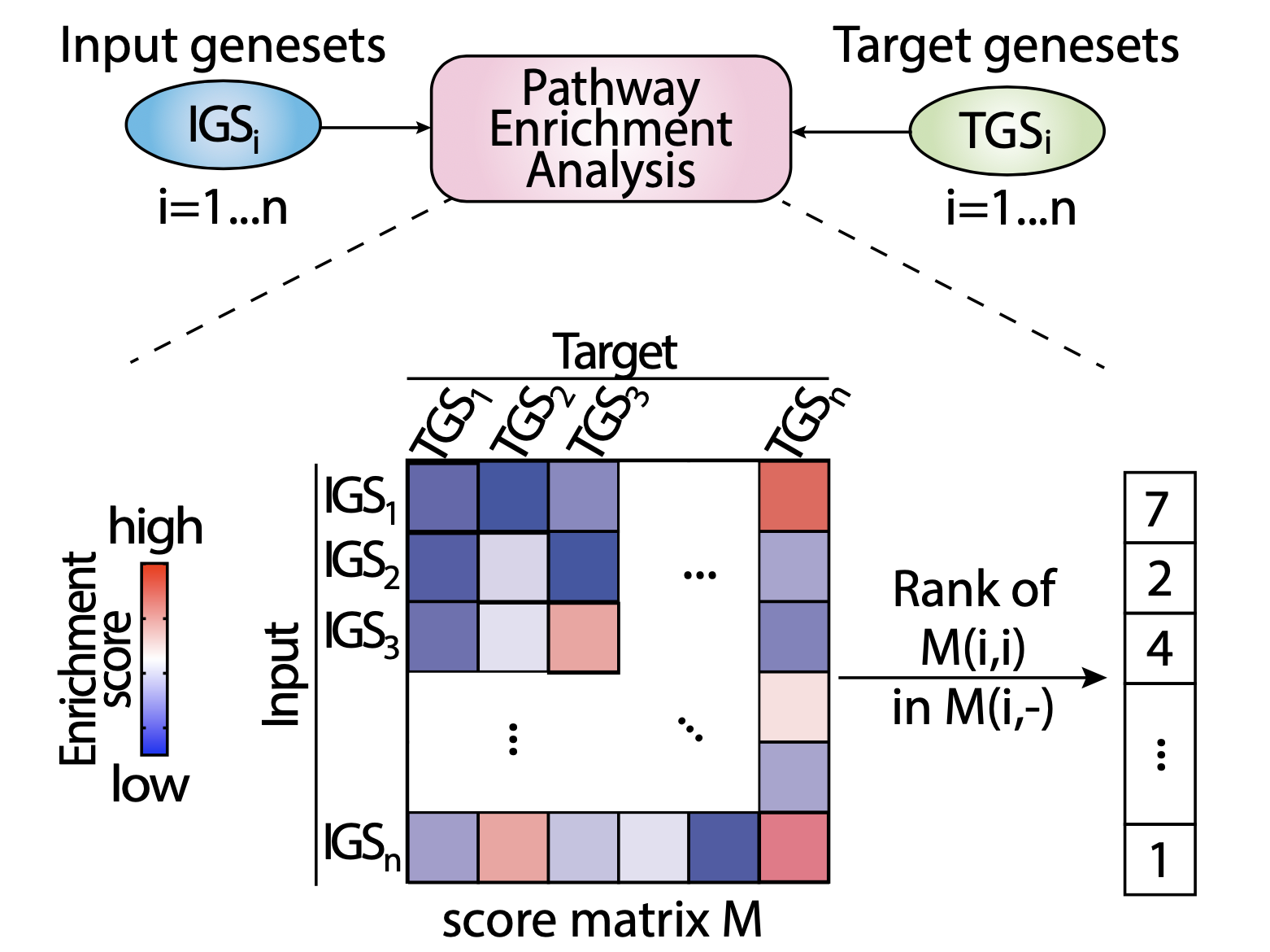 GitHub - loooooooopi/PET