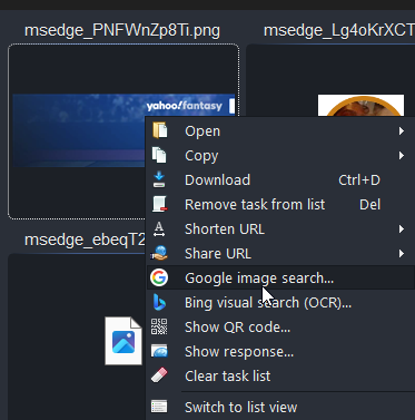 [Bug] Google Image Search option isn't working properly · Issue #6594 ...
