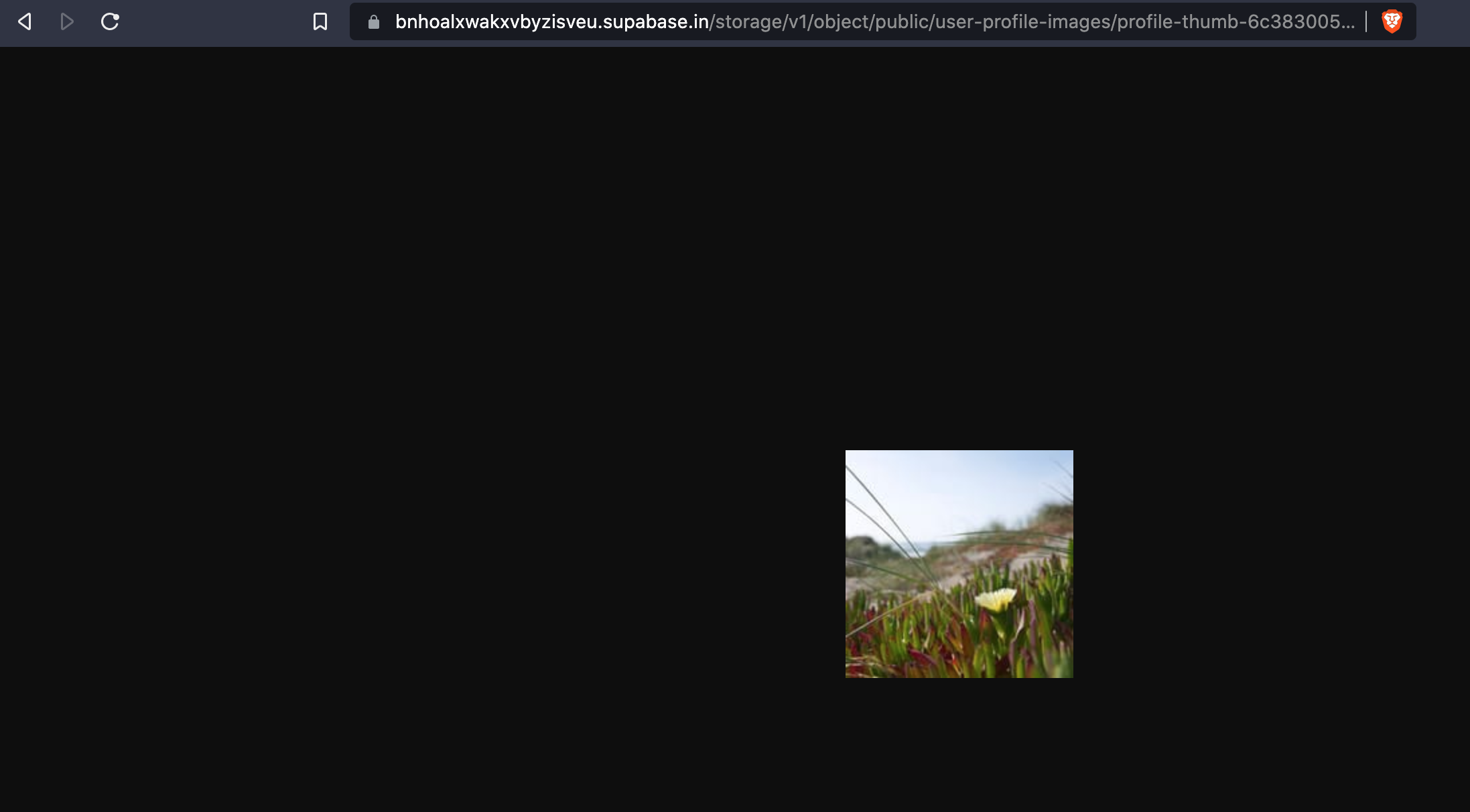 Supabase Public Url Going To The Wrong Route · Issue 4097 · Supabasesupabase · Github 4122