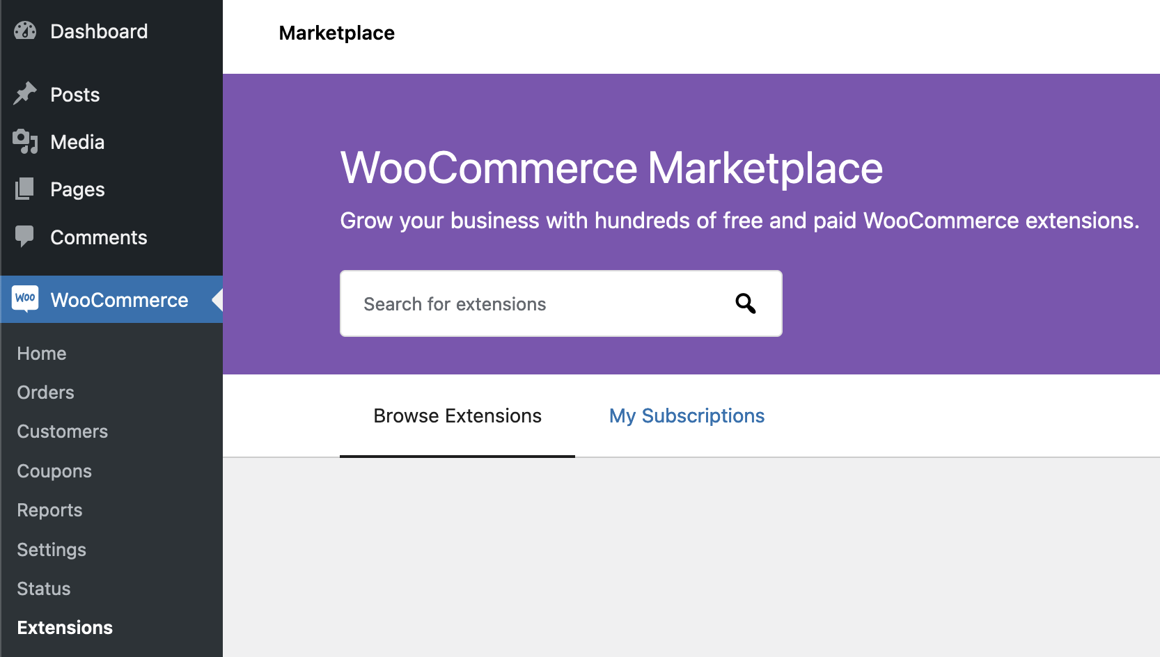 Duplicate Subscriptions Items Displayed In The Woo Nav Extensions Menu With Wcpay Installed