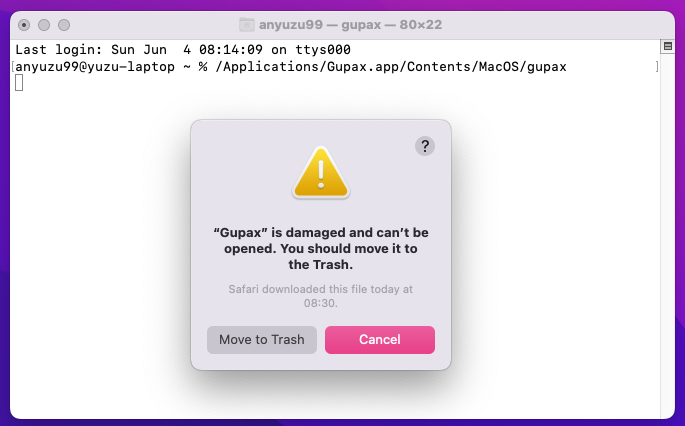 [Feature] give macos arm64 a arm64 xmrig · Issue #36 · hinto-janai/gupax · GitHub