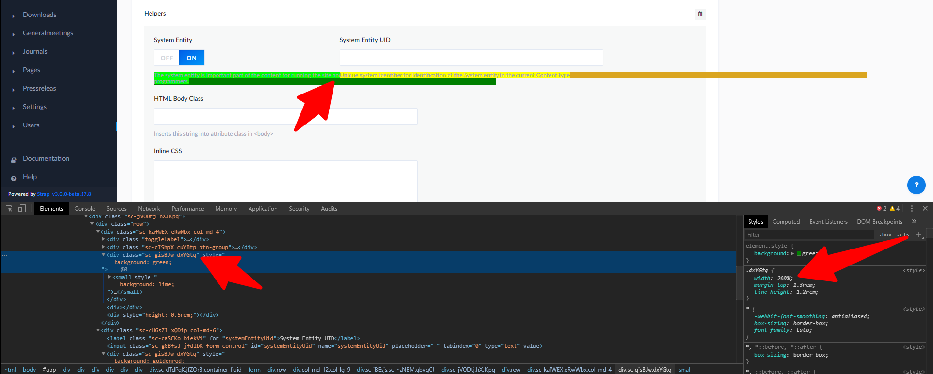 Unreadable Field Descriptions (Div Element Overlap) · Issue #4673 · strapi/strapi · GitHub