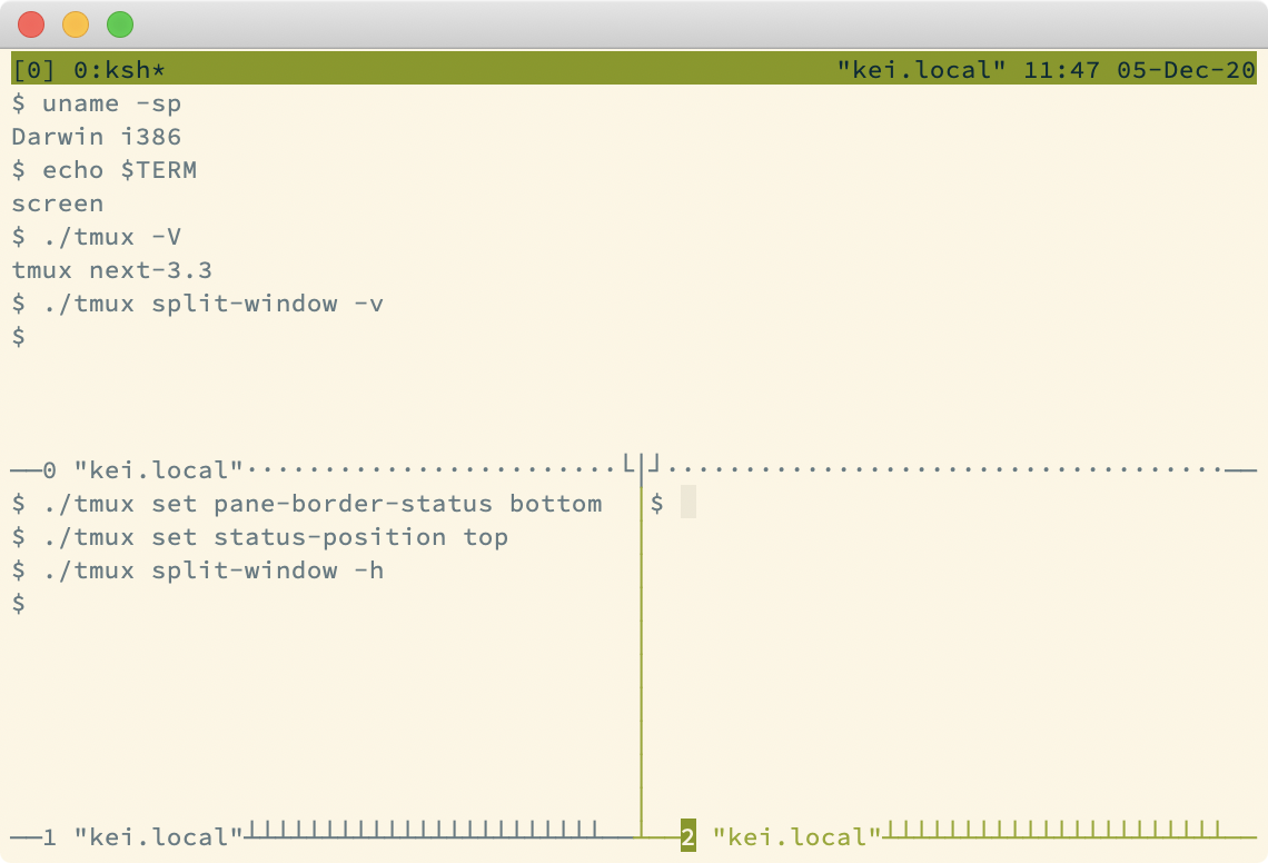 Pane borders appear as dotted and jagged lines when pane-border-status is set and status bar is ...