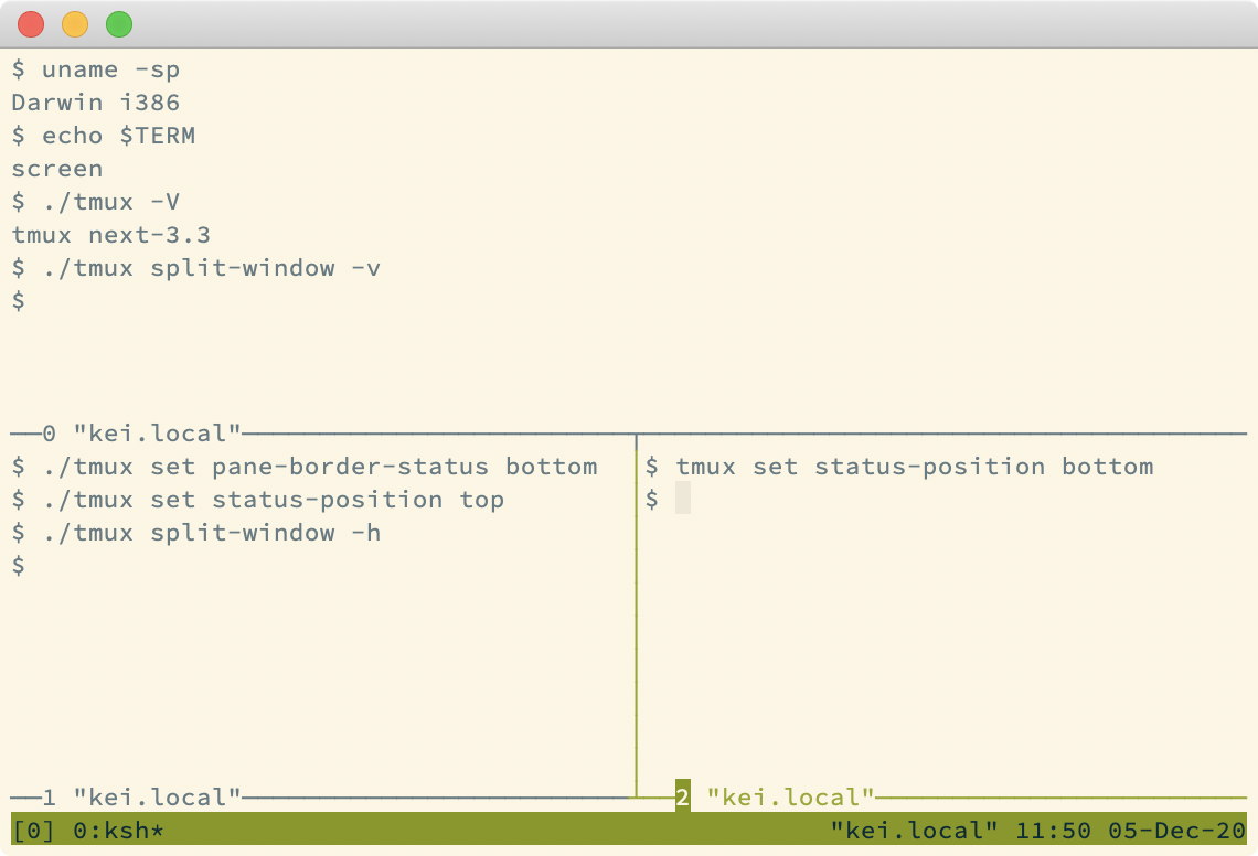 Pane Borders Appear As Dotted And Jagged Lines When Pane Border Status Is Set And Status Bar Is