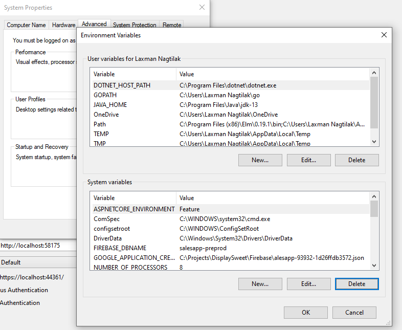 IIS Express server for hosted Blazor app fails to launch with custom environment variable ...