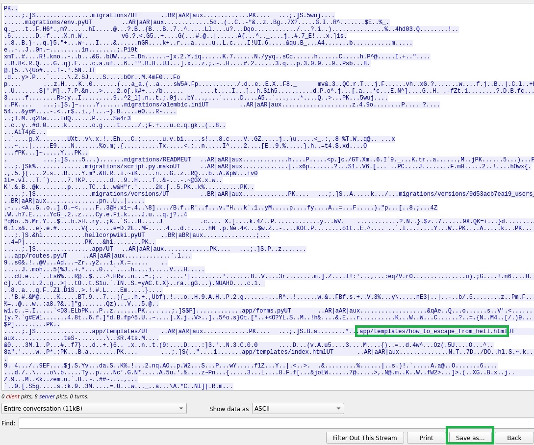 GitHub - PeLouZe/HackFest-2021: HackFest 2021 Writeup for the Wireshark Track