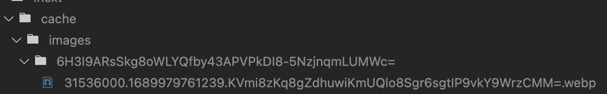 Imgix with next/image, double compression or 1 less dsn lookup? · vercel next.js · Discussion ...