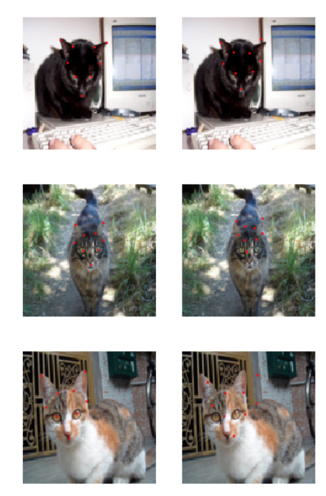 Flip With Tensorpoint Causes A Bug · Issue 100 · Fastaifastai2 · Github