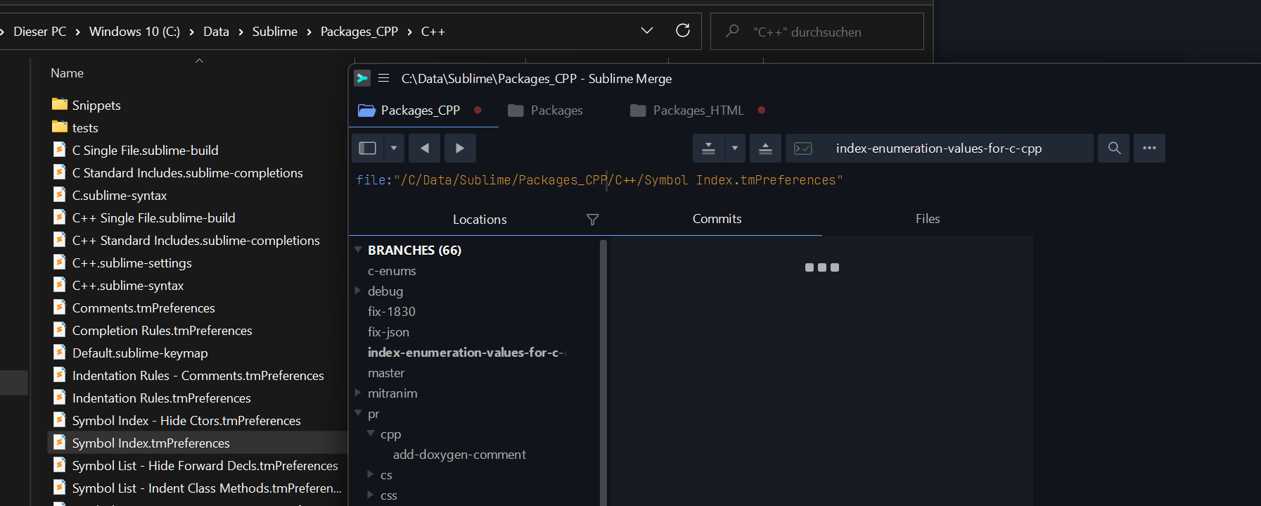 Search: `file:` path doesn't resolve absolute paths · Issue #1456 · sublimehq/sublime_merge · GitHub