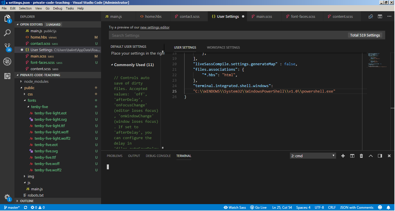 Terminal doesn't launch independently from "terminal.integrated.shell ...