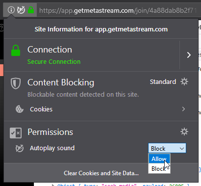 Black screen and no sound when joining · Issue #138 · samuelmaddock/metastream · GitHub
