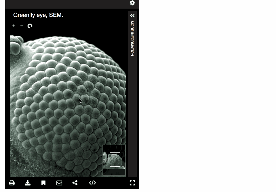Smaller UV width, single canvas objects show more info that disappears · Issue #502 ...