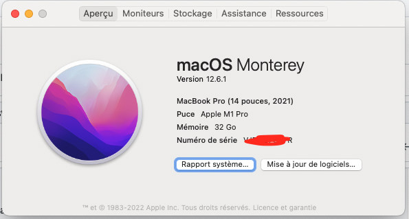 Cannot Have Native Translucency On The Mainflutterwindowswift