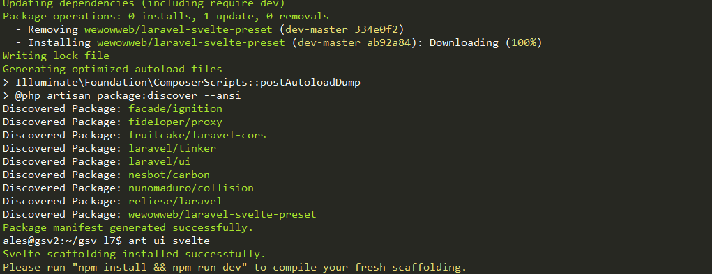 Installation Error Laravel 7 · Issue 8 · Wewowweblaravel Svelte Preset · Github
