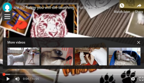 Quality setting is not showing in mobile view, its always showing ...