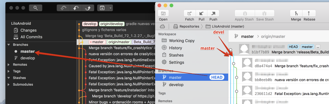 Suggestion: position and colours for revision graph drawing · Issue #398 · fork-dev/Tracker · GitHub