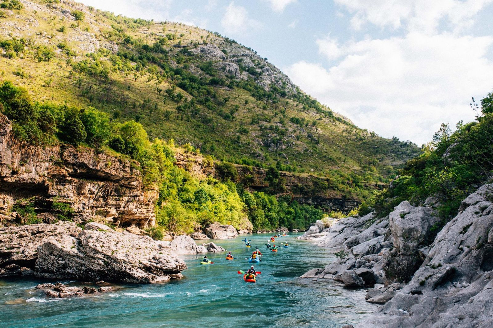 NoDecodeDelegateForThisImageFormat error · Issue #301 · dlemstra/Magick.NET · GitHub