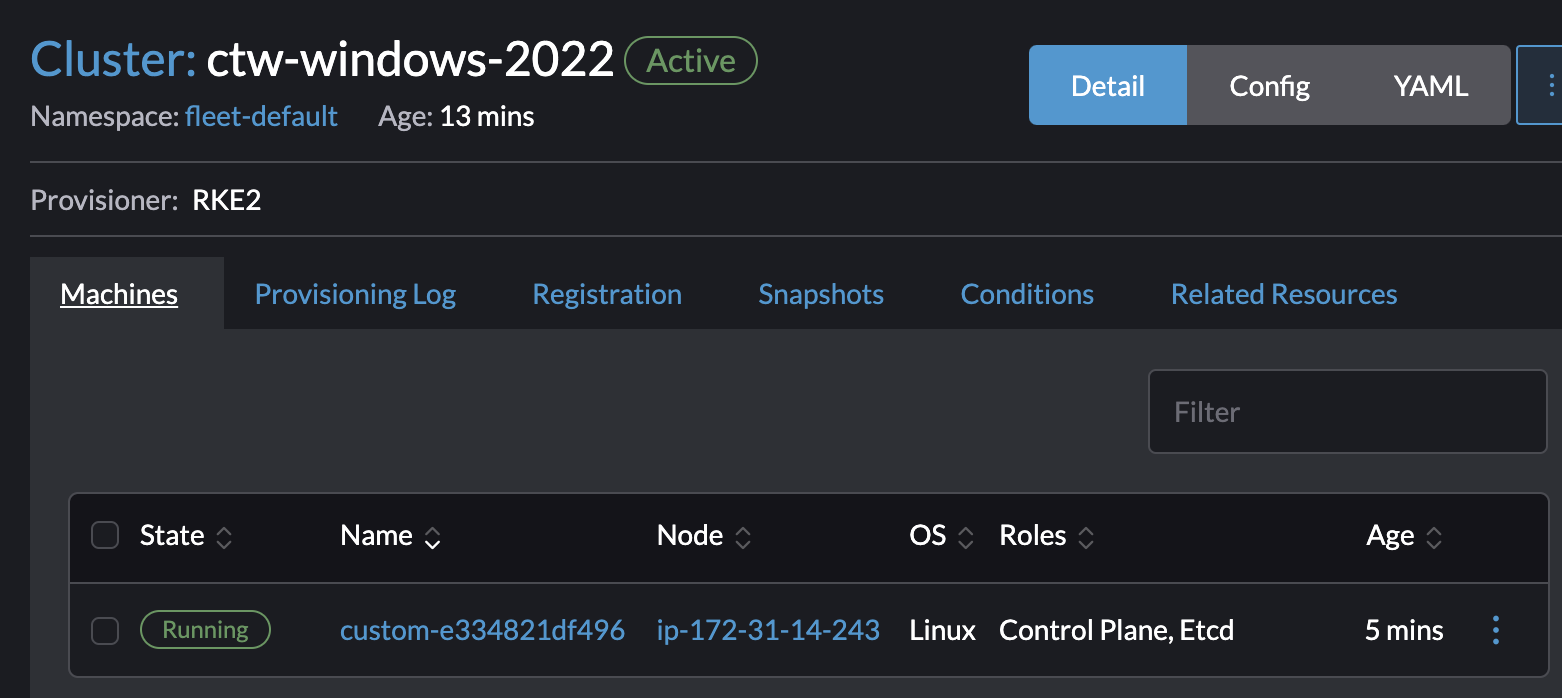 [rke2] custom cluster gets to an active state with only `etcd` and `controlplane` node(s ...