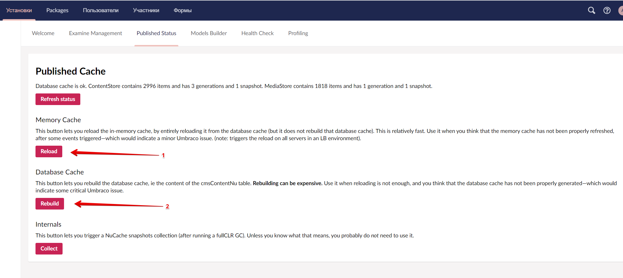 [v8] Bug. This document is published but its url cannot be routed · Issue #7575 · umbraco ...