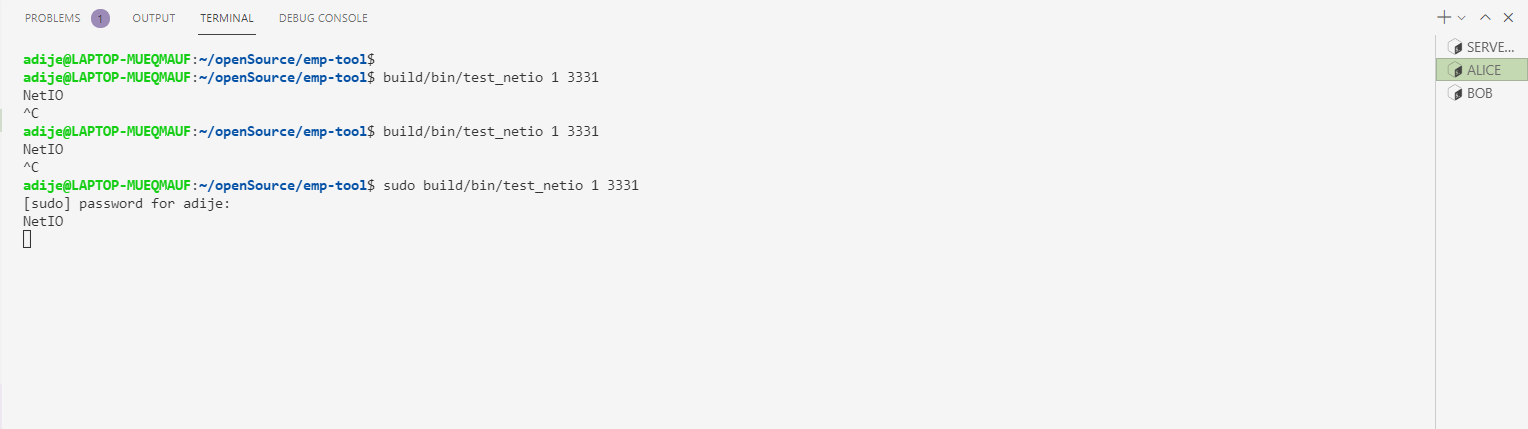how to run netio test? · Issue #143 · emp-toolkit/emp-tool · GitHub