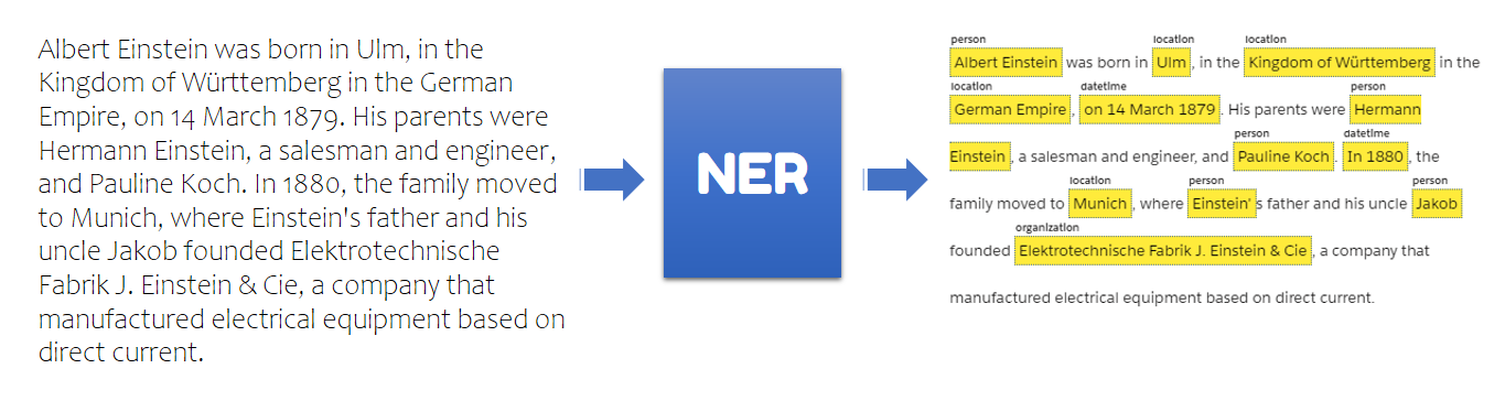 GitHub - shrutis22/einstein-ner: Einstein Named Entity Recognition implementation in Apex