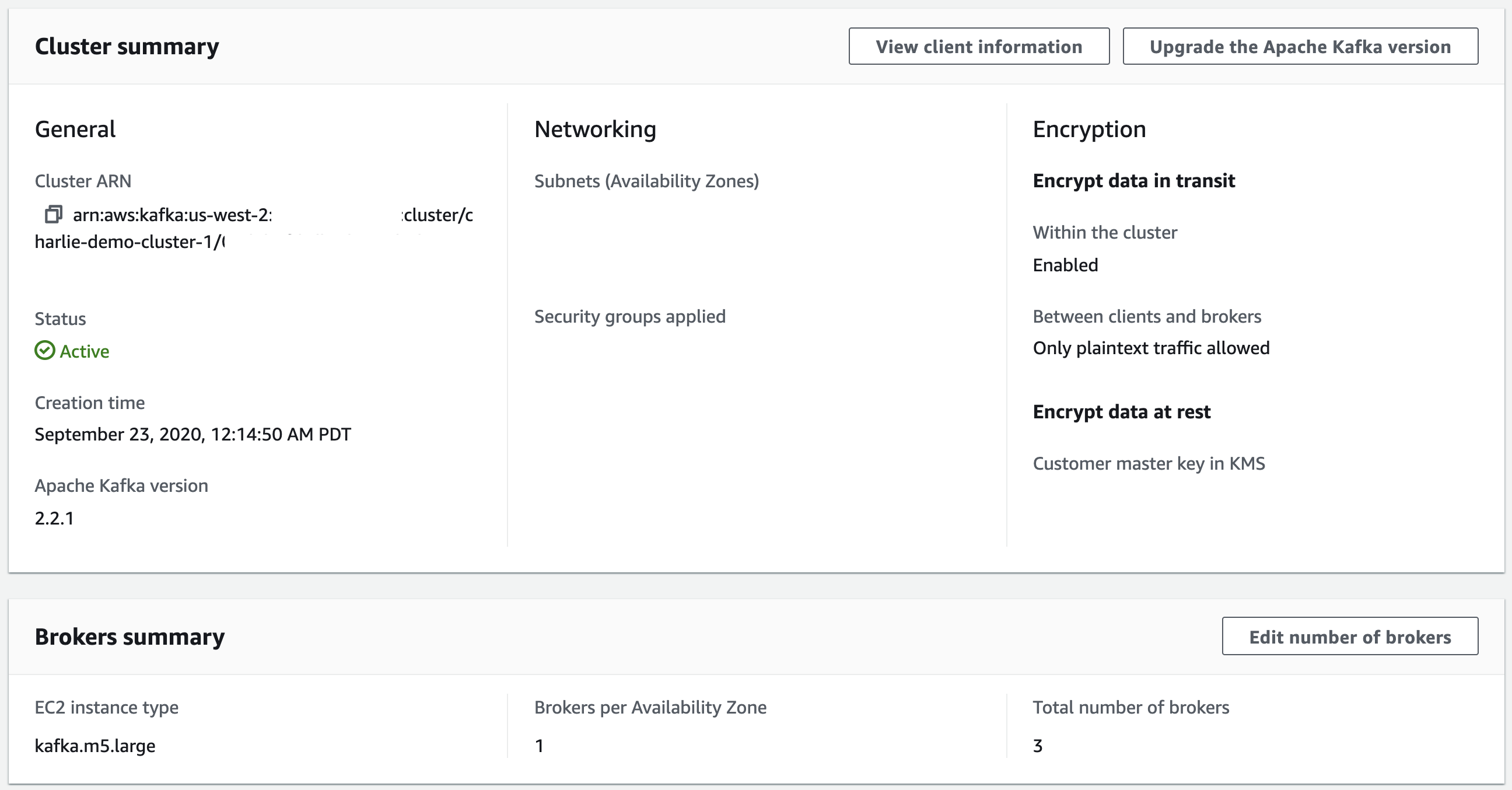 Timeout when starting schema registry for AWS MKS cluster. · Issue #1629 · confluentinc/schema ...
