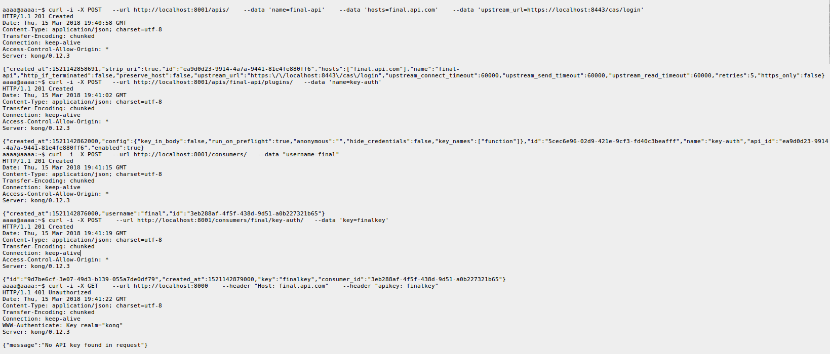 Consumer - Key Auth, Only works on first api configuration · Issue ...