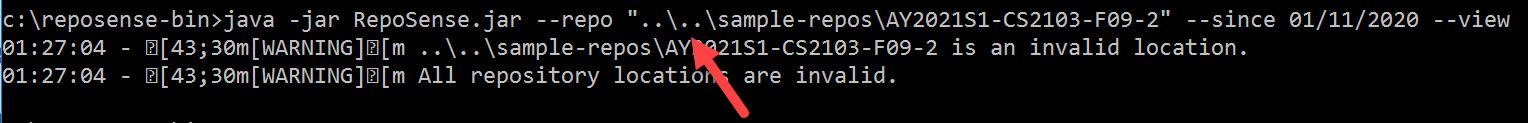 generating-reports-for-local-repos-relative-paths-don-t-work-issue