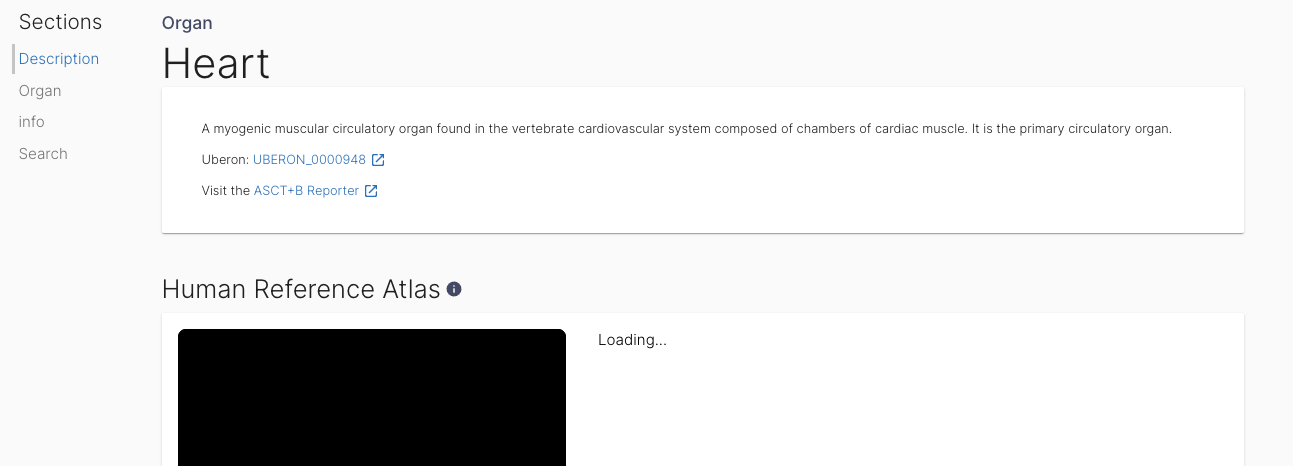 Match Organ Table of Contents to the Section Names · Issue #3019 · hubmapconsortium/portal-ui ...