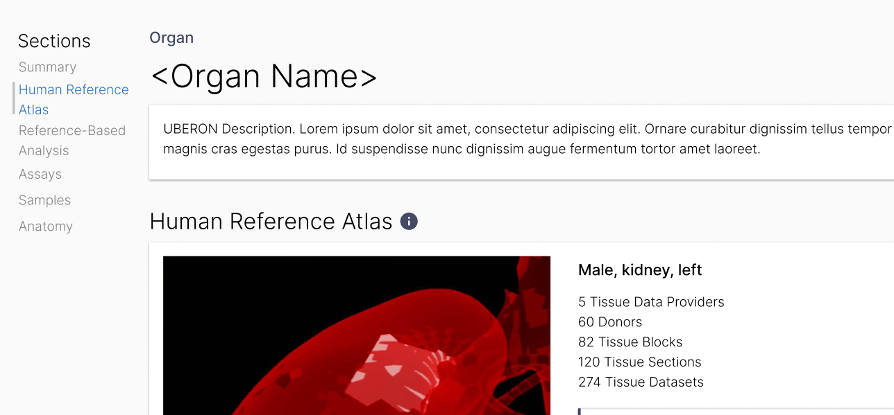 Match Organ Table of Contents to the Section Names · Issue #3019 · hubmapconsortium/portal-ui ...