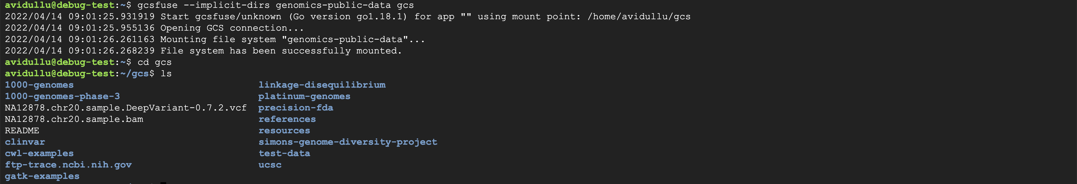 Using gcsfuse without credentials · Issue #438 · GoogleCloudPlatform/gcsfuse · GitHub