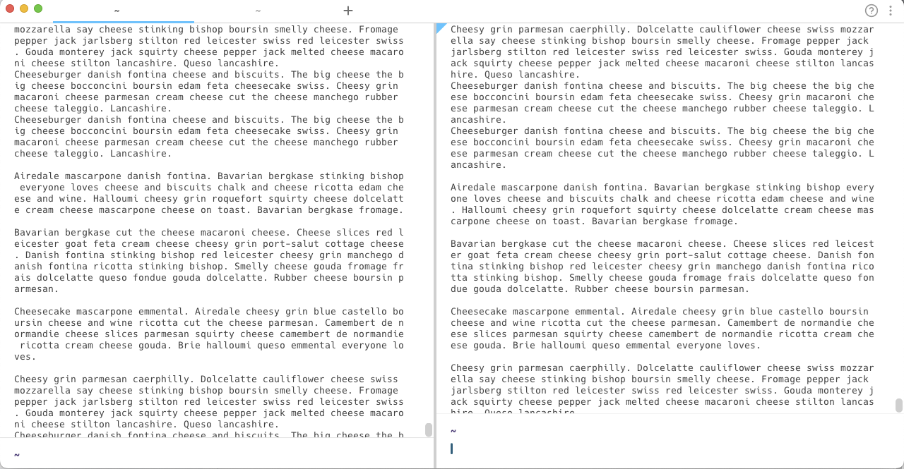 When using TABS you can't select the first character on the screen. · Issue #2200 · warpdotdev ...