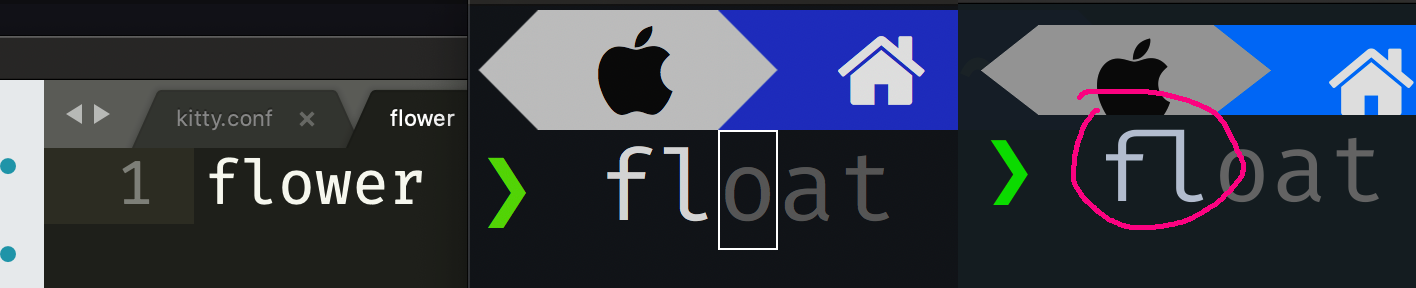 Fira Code Nerd font rendering issue · Issue #2772 · kovidgoyal/kitty ...