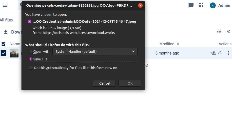 Downloaded Files In Ocis Are Unexpectedly Renamed · Issue 2856 