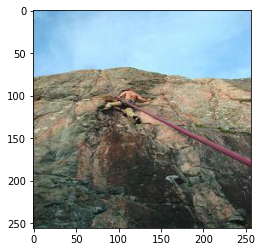 GitHub - ndb796/PyTorch-Neural-Image-Caption-Generator