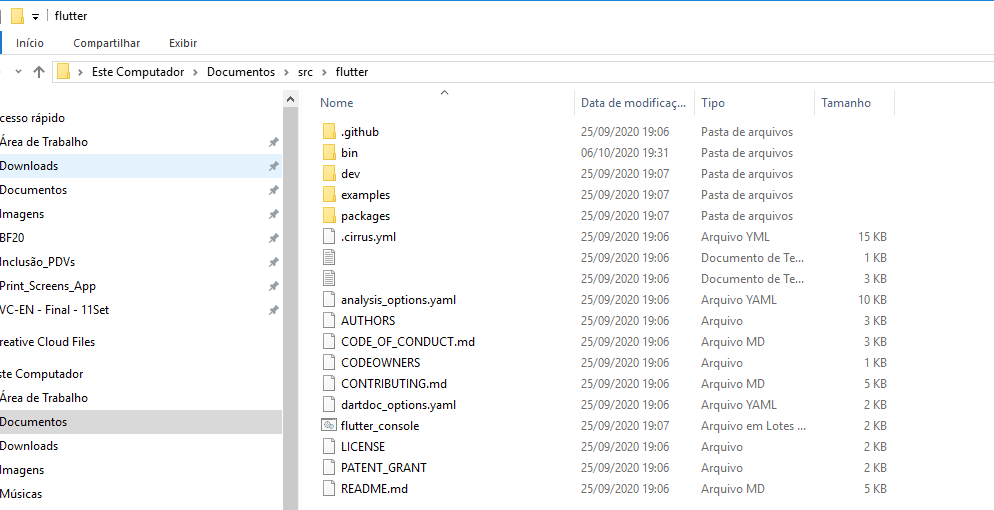 I Not Able To Complete The Process Of Flutter Doctor Access Denied · Issue 66669 · Flutter