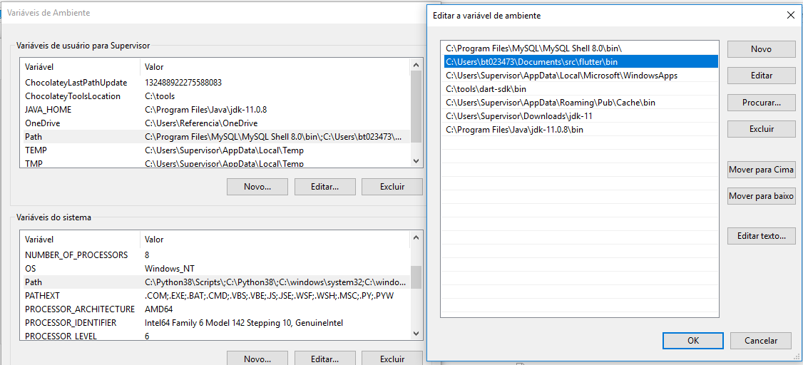 "CreateProcessW failed 5" when running Flutter doctor on Windows ...