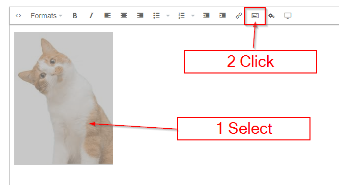 V8.2 RTE image dialog doesn't display title · Issue #6712 · umbraco/Umbraco-CMS · GitHub