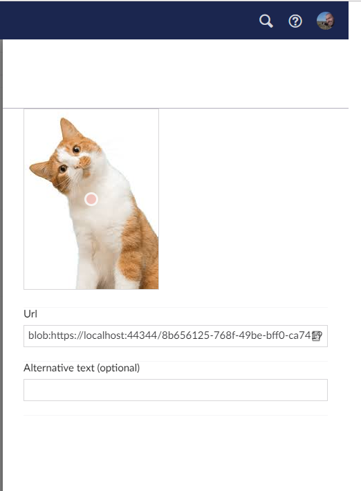 V8.2 RTE image dialog doesn't display title · Issue #6712 · umbraco/Umbraco-CMS · GitHub