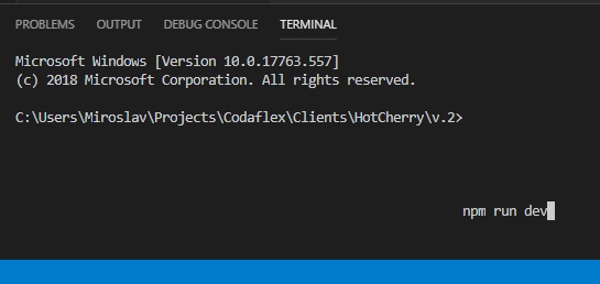 Terminal having some display issue · Issue #74731 · microsoft/vscode ...