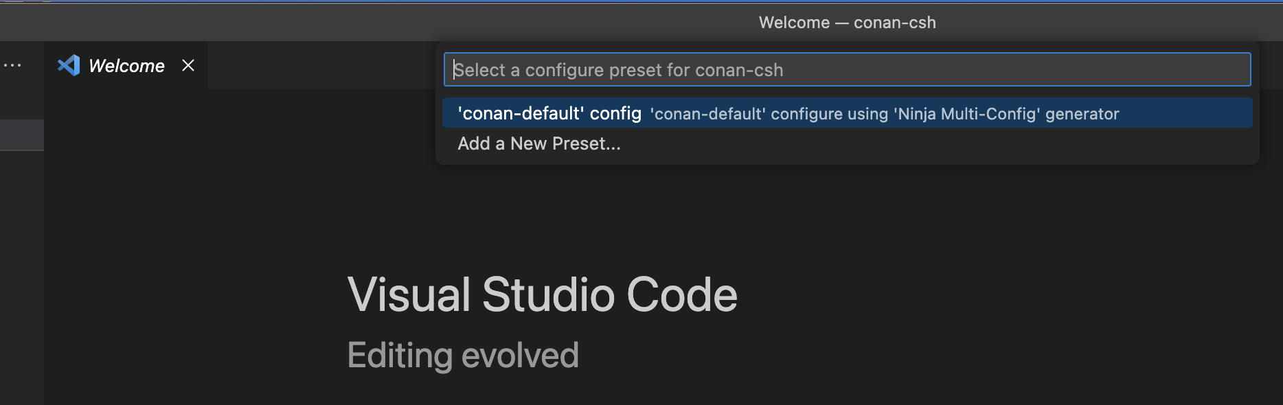 Multi-Config CMake Presents do not work with VS Code using CMake extension · Issue #13908 ...