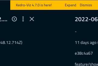 Missing correct styles on Viz update nudge · Issue #924 · kedro-org/kedro-viz · GitHub