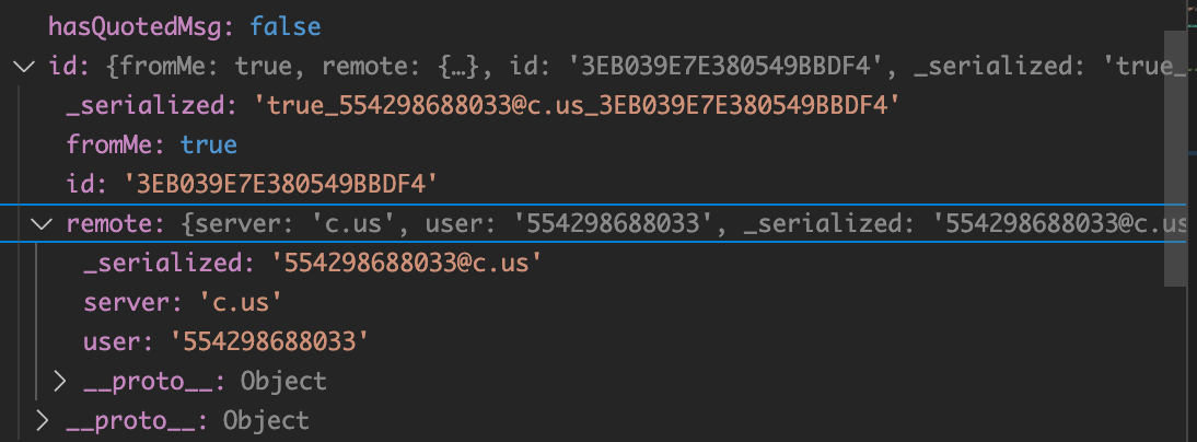 Message object divergence coming from fetchMessages method · Issue #825 · pedroslopez/whatsapp ...