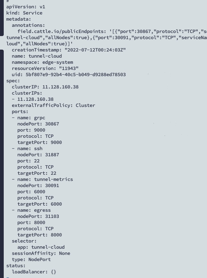 云边隧道读取数据异常，云上的应用访问边缘节点应用失败 · Issue #420 · superedge/superedge · GitHub