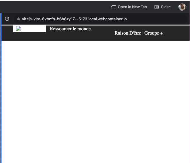 Assets not loading · Issue #780 · stackblitz/webcontainer-core · GitHub