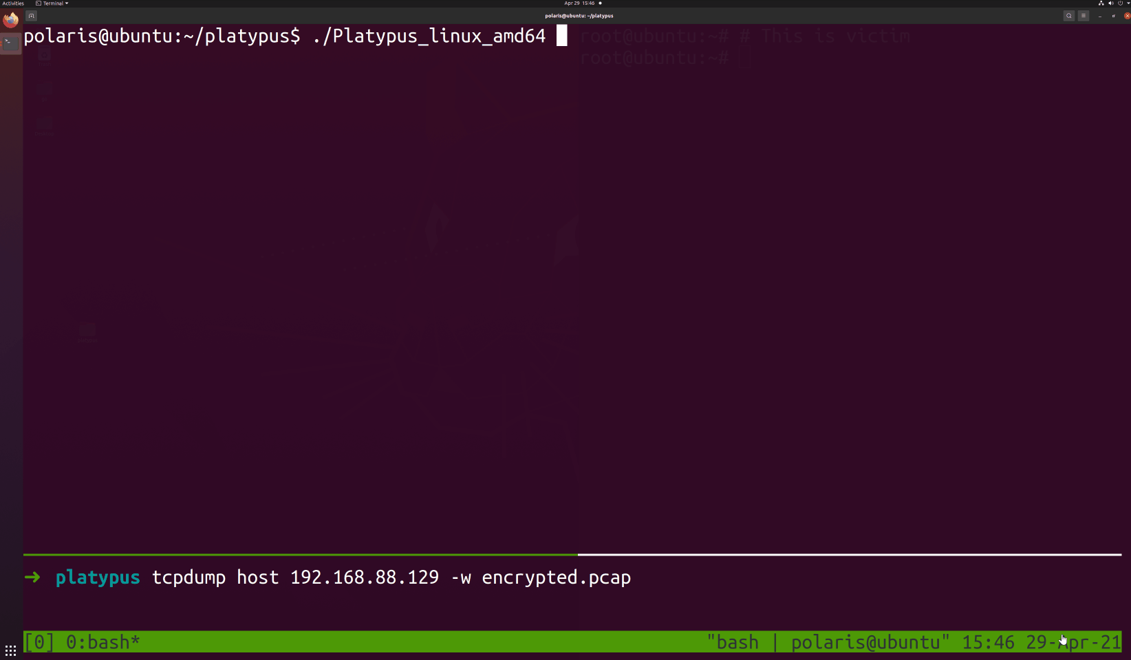 PTY between Windows and Linux · Issue #38 · WangYihang/Platypus · GitHub