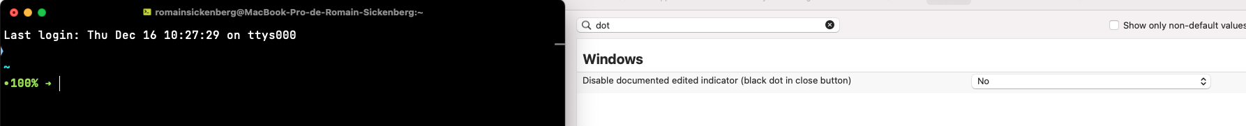 Document Edited indicator on iTerm · Issue #718 · withfig/fig · GitHub