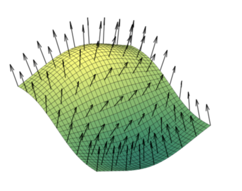 Add visualization/check of normals · Issue #1812 · SCIInstitute/ShapeWorks · GitHub