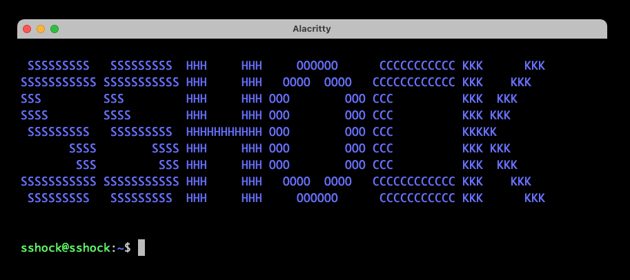 No window border on macOS · Issue #5964 · alacritty/alacritty · GitHub